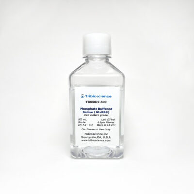 10x Phosphate Buffered Saline (PBS), Sterile (TBS5027) – Tribioscience