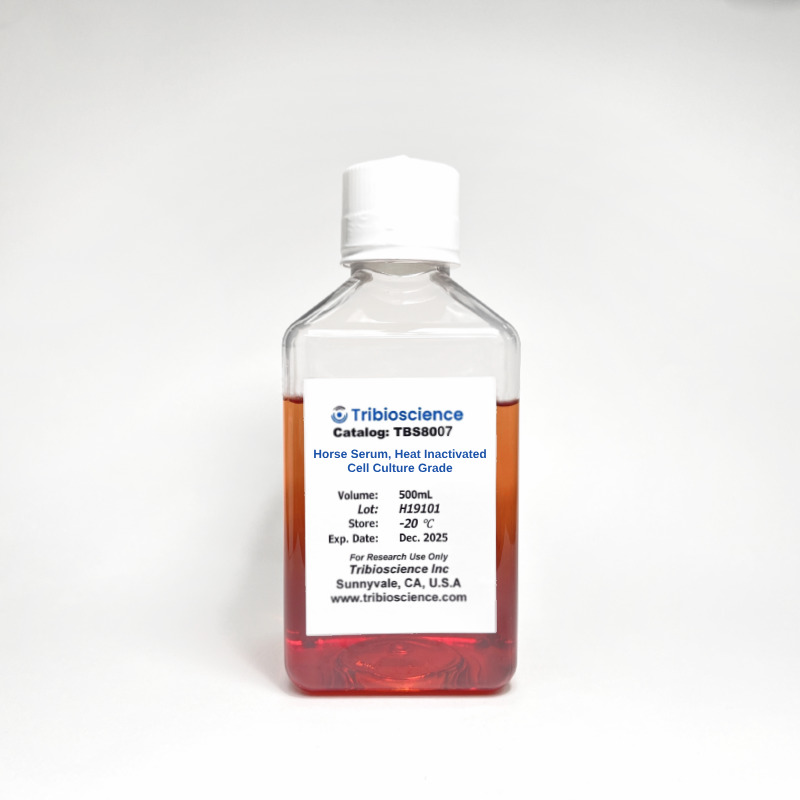 Horse Serum, Heat Inactivated, Cell Culture Grade (TBS8007) – Tribioscience