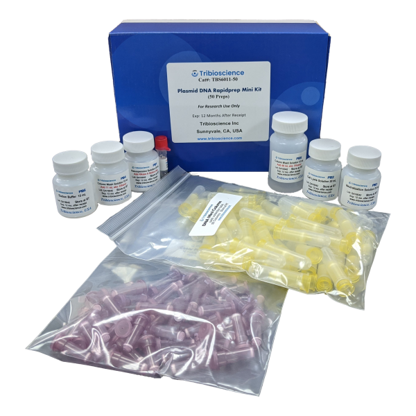 Plasmid DNA Rapidprep Mini Kit (TBS6011) – Tribioscience