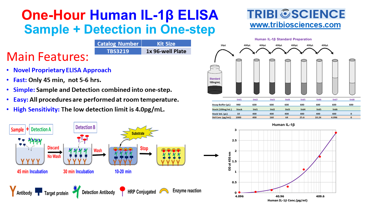 Human IL-1 ß; ELISA; 1 step and 1hr – Tribioscience