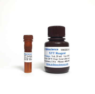 XTT Cell Viability Assay (TBS2021) – Tribioscience