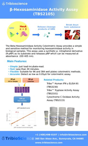 β-Hexosaminidase Activity Assay – Tribioscience