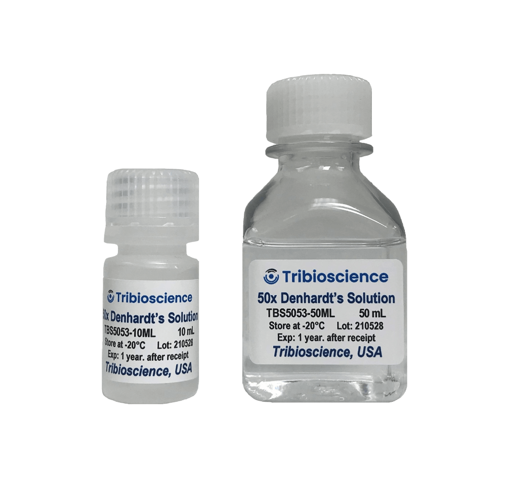 50x Denhardt’s Solution (TBS5053) – Tribioscience