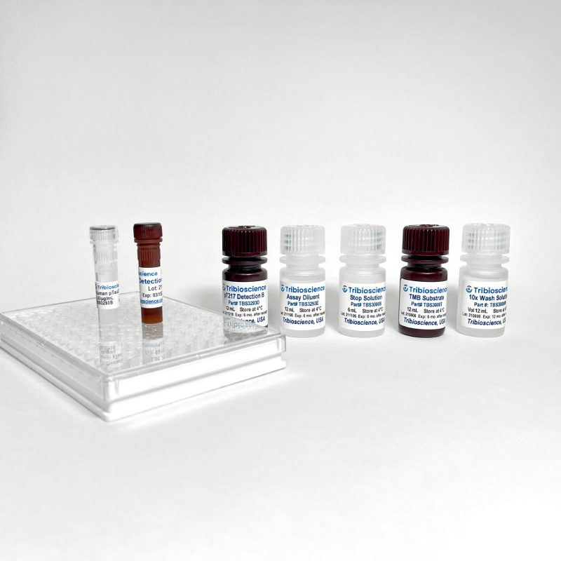 Fast Human Phospho Tau Thr217 (pT217) ELISA (TBS3293) – Tribioscience