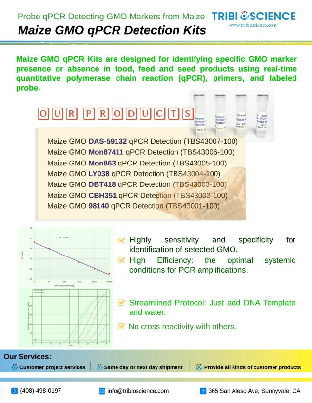 Maize GMO qPCR Detection Kits – Tribioscience