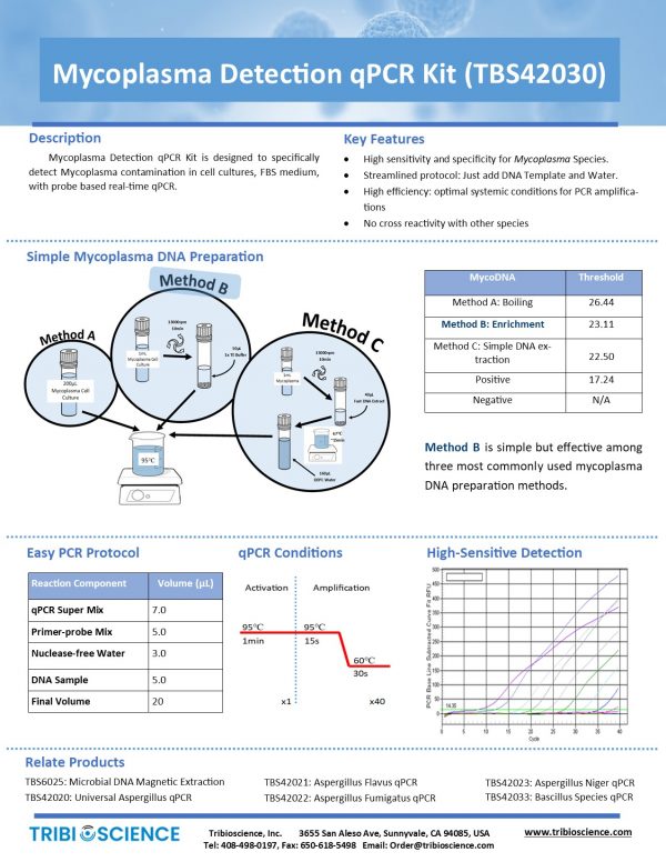 Mycoplasma Detection qPCR Kit (TBS42030) – Tribioscience