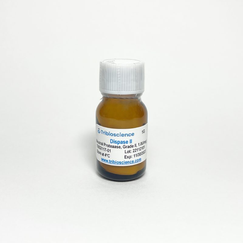 Dispase II (Neutral Protease, Grade II) (TBS2117) – Tribioscience