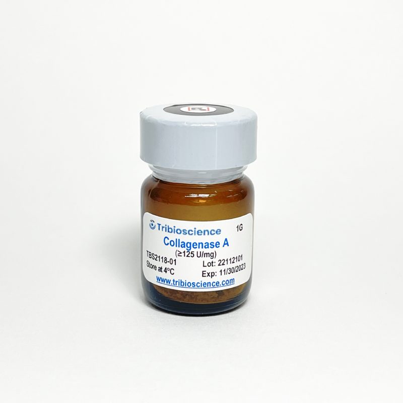 Collagenase A (TBS2118) – Tribioscience