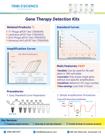 Gene Therapy Detection Kits – Tribioscience