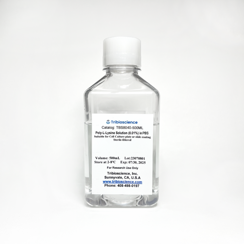 Poly L Lysine Solution 0 01 In Pbs Ready To Use Tbs8040 Tribioscience
