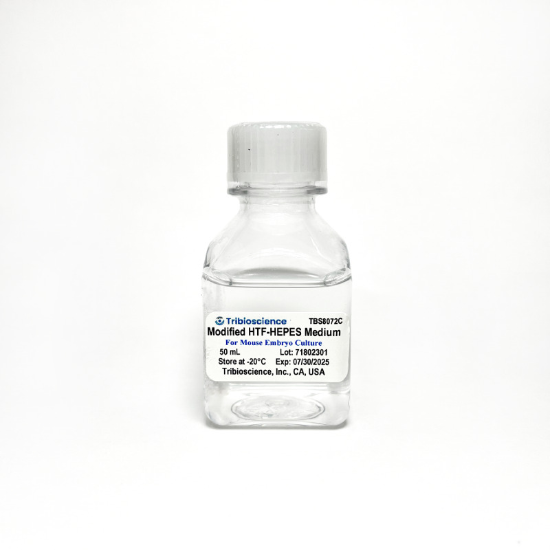 Modified Human Tubal Fluid (HTF) with HEPES (TBS8072C) – Tribioscience