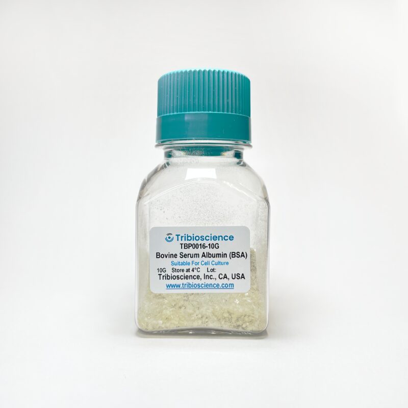 Bovine Serum Albumin (BSA), Suitable for Cell Culture (TBP0016 ...