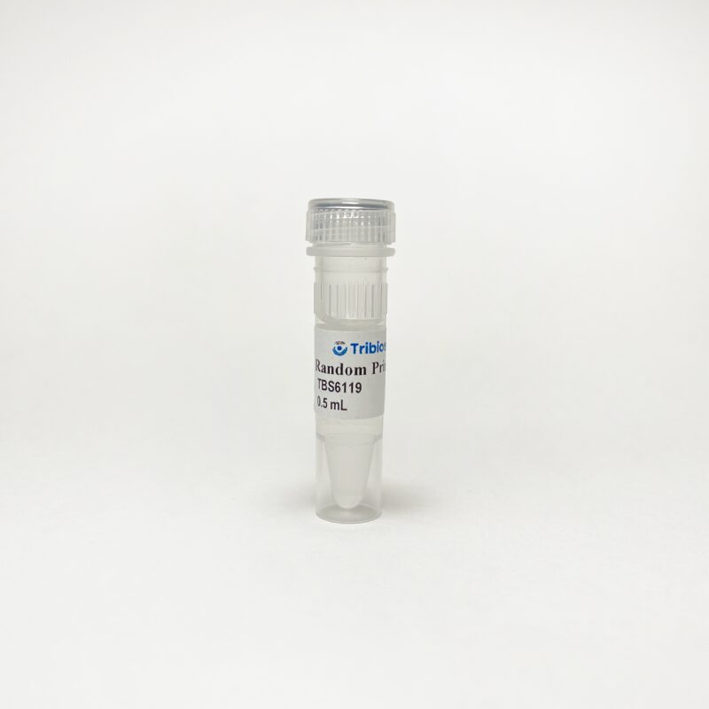 Random Primer (6N) (TBS6119) – Tribioscience